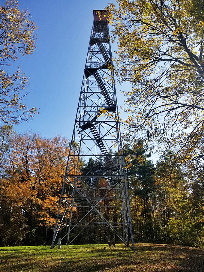 This fire tower stands tall like Ohio's answer to the Eiffel Tower, minus the French attitude and overpriced coffee.