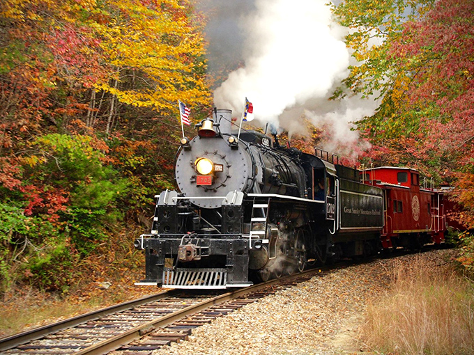 This beauty could make even the most devoted car enthusiast consider trading four wheels for steel rails.