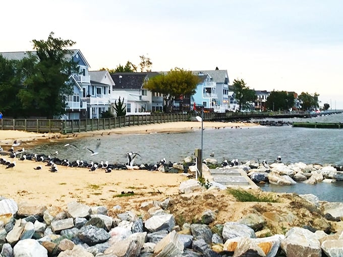 Waterfront homes with million-dollar views at half the price you'd pay elsewhere. The seagulls are included at no extra charge.