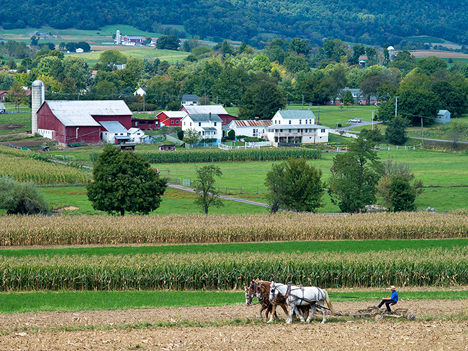 Rolling hills cradle Belleville's farmland, where tomorrow's feast is growing today. Nature's grocery store at its finest!