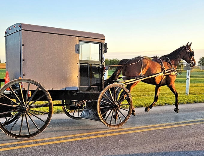 The classic Amish buggy &ndash; Pennsylvania's original eco-friendly transportation option, no charging station required!