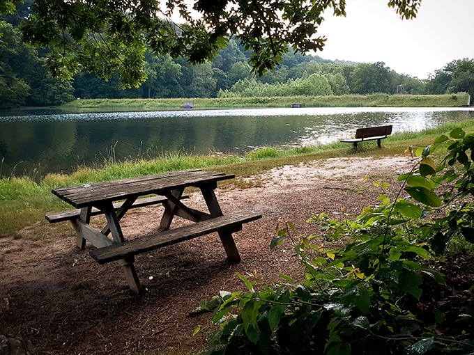 Nature's perfect picnic spot awaits at Brown County State Park, where this lakeside bench practically begs you to sit awhile and forget about your inbox.