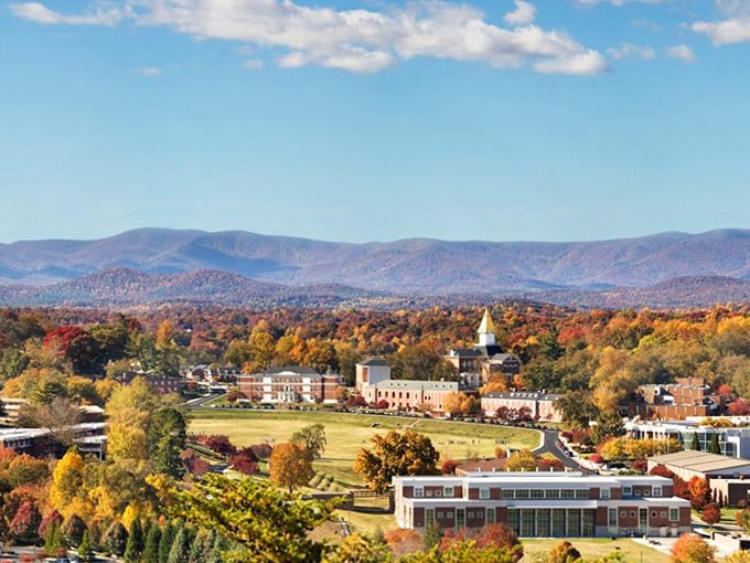 Dahlonega's mountain backdrop is nature's masterpiece – autumn colors paint the landscape in a way no Instagram filter could improve.