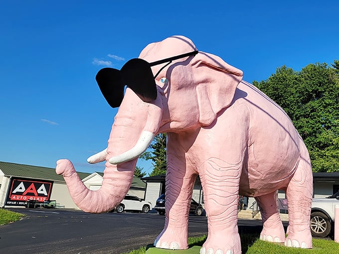 Meet Ellie, the pink elephant who clearly got the memo that life's too short for boring roadside attractions. Those sunglasses scream "I'm fabulous!"