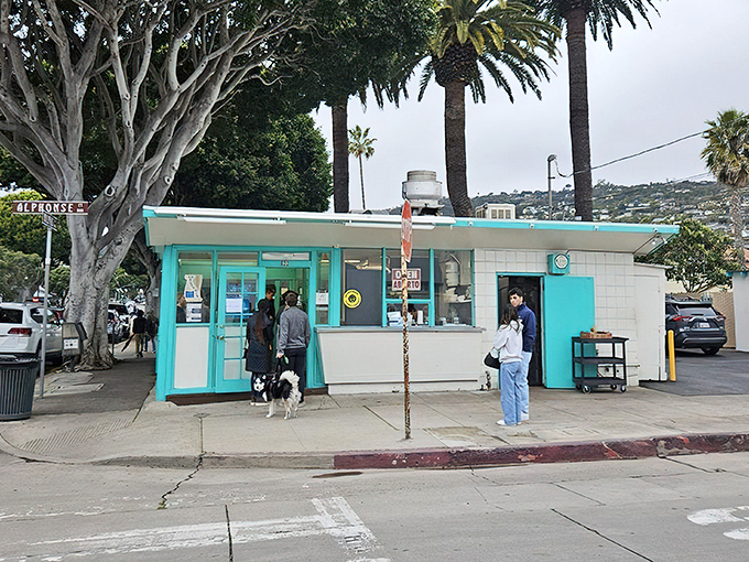 This turquoise gem looks like a beach shack but serves food that rivals any fancy restaurant. 