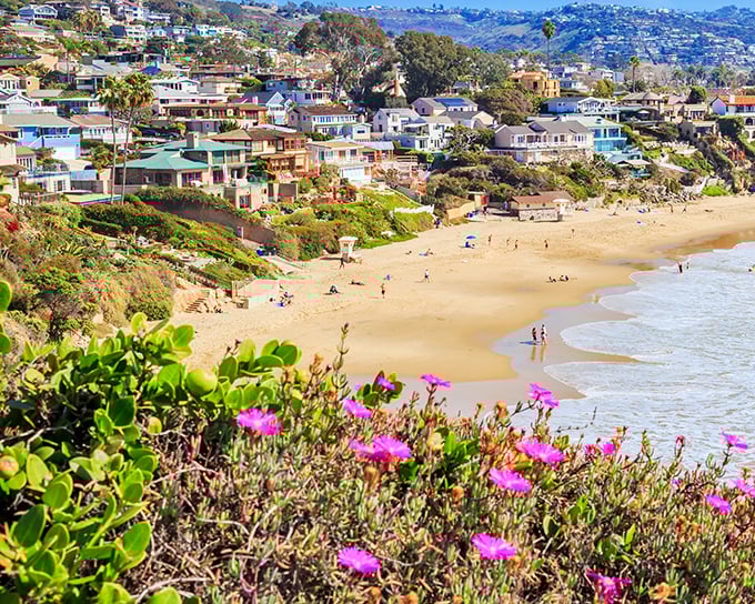 Laguna Beach houses cling to cliffs like colorful barnacles refusing to let go of paradise. 