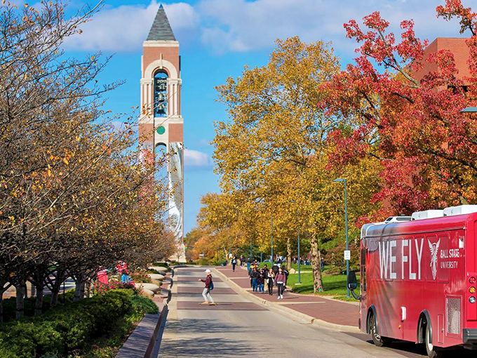 Ball State's iconic bell tower reaches skyward like a friendly exclamation point. Campus life brings energy to Muncie's affordable neighborhoods.