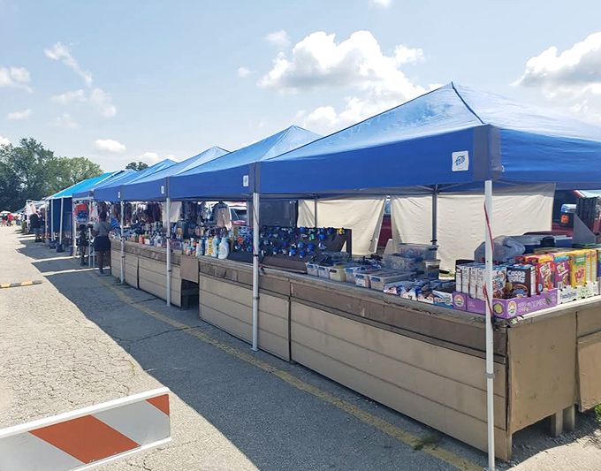 Blue tents stretch endlessly, each one hiding someone's cast-off treasures that could become your next favorite find.