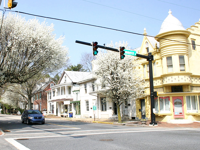 Spring in Smyrna brings a burst of blossoms and Victorian splendor. This intersection could be a time machine to a more affordable era.