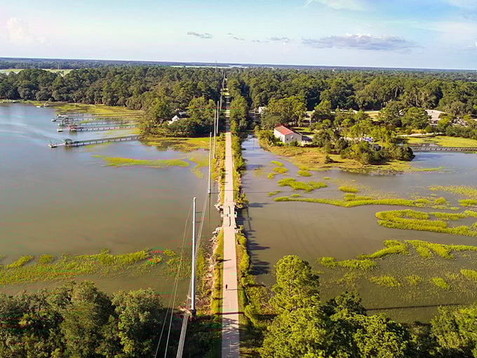 This aerial view reveals where marshlands meet civilization in perfect Lowcountry harmony and golden splendor.