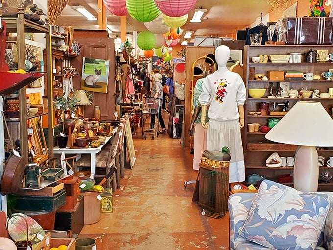 Wooden cabinets stand like sentinels of history. Stars & Splendid's narrow pathways lead to discoveries that would make Indiana Jones jealous.