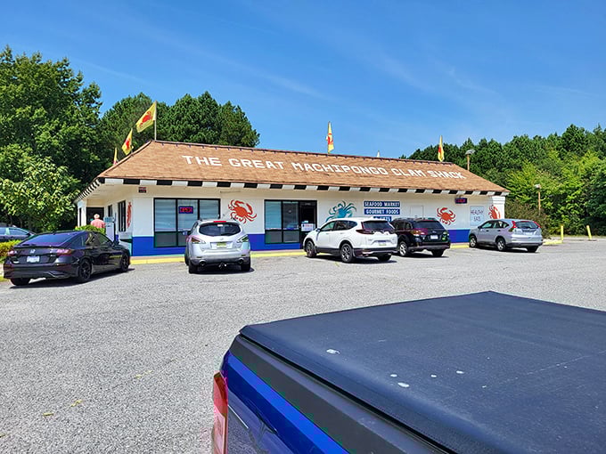The Great Machipongo Clam Shack stands proud with its blue trim and crab decorations. Highway seafood gold that locals treasure.