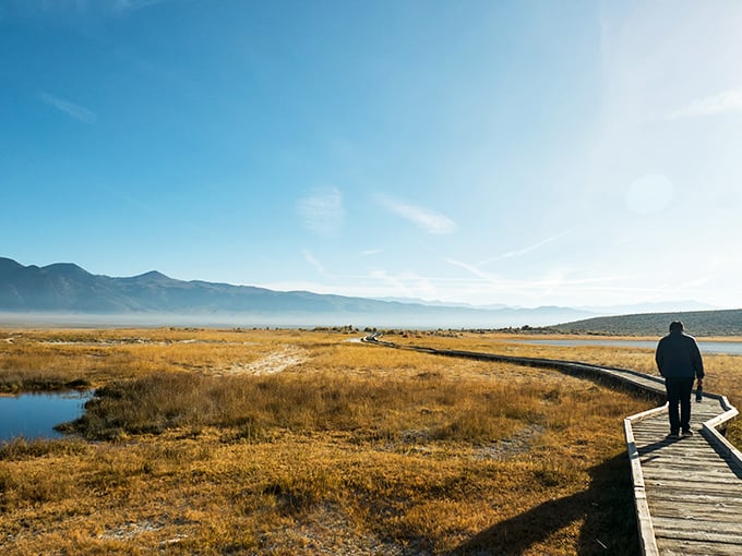 Wild Willy's wooden boardwalk leads you to nature's perfect temperature control in the Eastern Sierra.