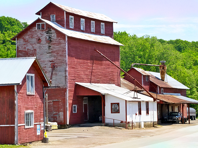 Sometimes the most beautiful things are the ones that have weathered decades with quiet dignity.