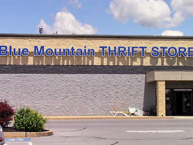 That bright blue sign against the beige building is like a beacon for bargain seekers. Inside awaits the kind of organized chaos that makes thrifters' hearts sing.