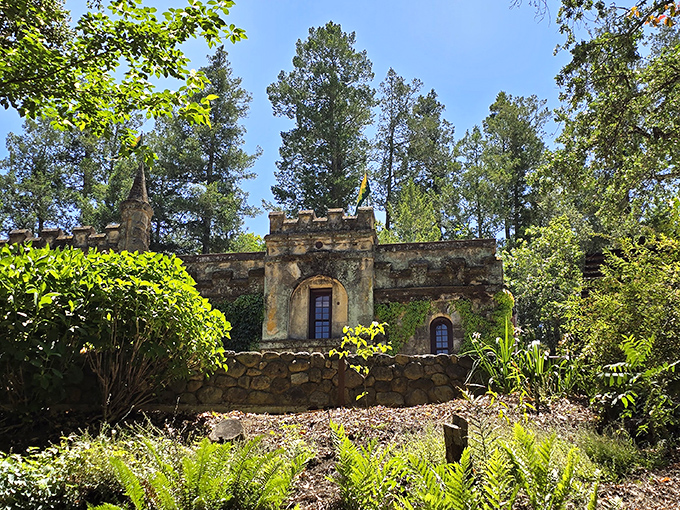 The castle that changed wine history forever, now with bonus geese wandering the grounds like they own the place.