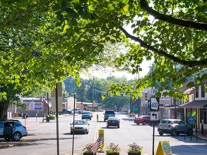 Downtown Dahlonega shimmers under blue skies, its historic buildings housing treasures as valuable as the gold once found here.