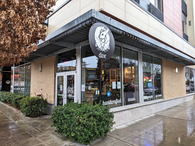 Modern, bright, and inviting &ndash; Doe's corner location feels like the cool kid of Portland's donut scene. That rabbit knows what's up.