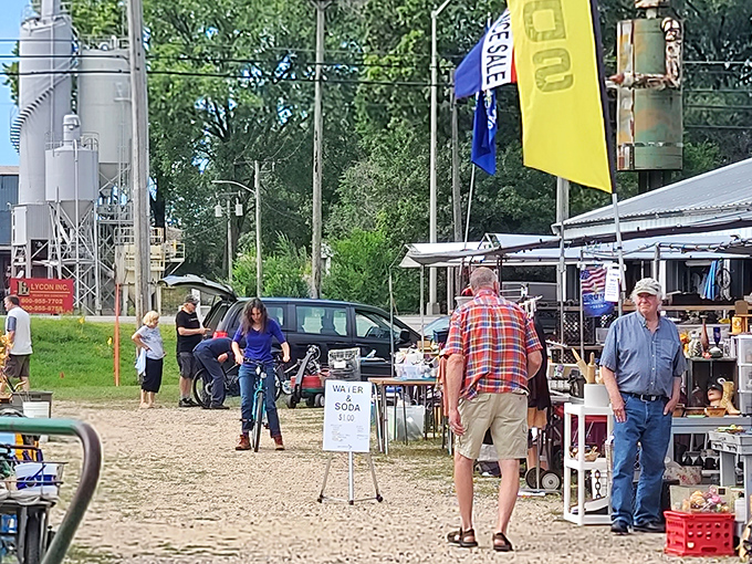 Smart shoppers know the best finds often hide in plain sight among everyday items and curious collectibles.