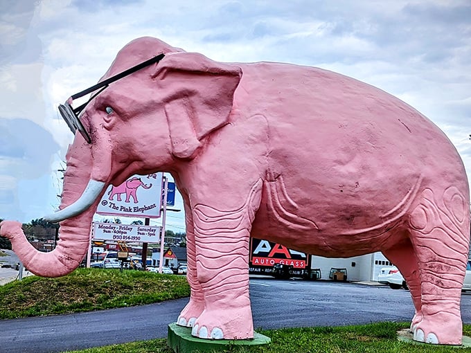 This rosy pachyderm has been turning heads for years. Like a flamingo that ate too many cotton candy clouds, Ellie stands proudly along the highway.