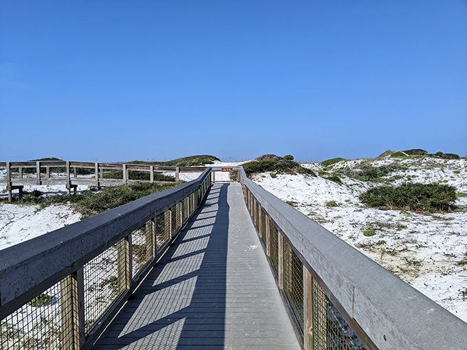 Boardwalk to heaven! This wooden pathway at Grayton Beach State Park lets you enjoy the dunes without disturbing them—nature's VIP access.