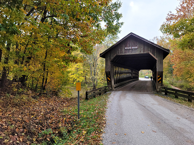 Fall's golden touch transforms this humble crossing into something magical. Driving through feels like entering a storybook!