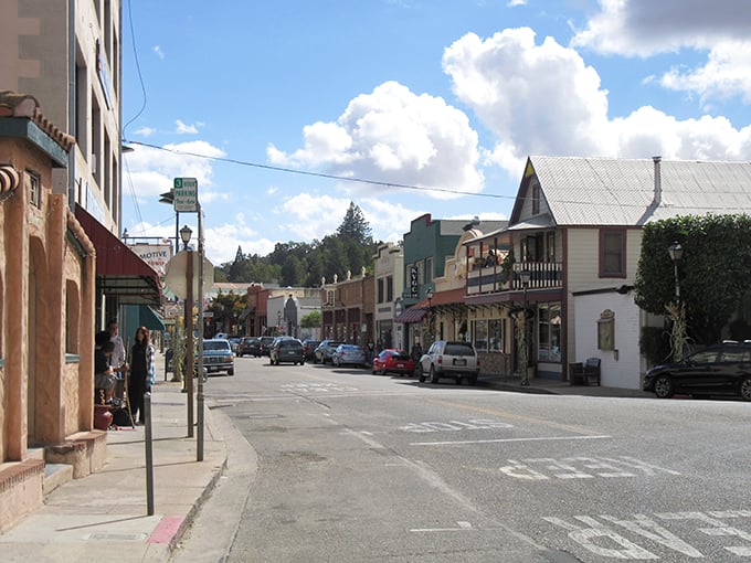 Jackson's brick buildings and iron-shuttered storefronts stand as proud survivors of the Gold Rush era, practically whispering tales of prospectors.