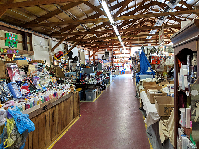 Down the rabbit hole of retail! Jamie's interior pathways lead shoppers through a maze of memories and must-haves.