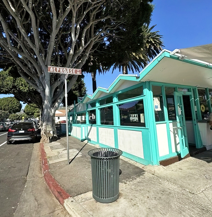 When palm trees frame your taqueria, you know you've found California's perfect Mexican food paradise. 