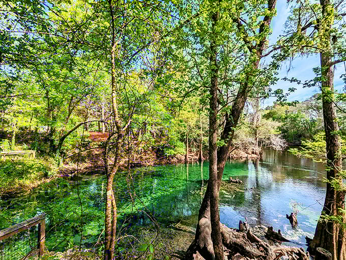 Those hanging plants look like nature's chandelier, dangling over Madison Blue's sapphire waters. Talk about dining room envy!
