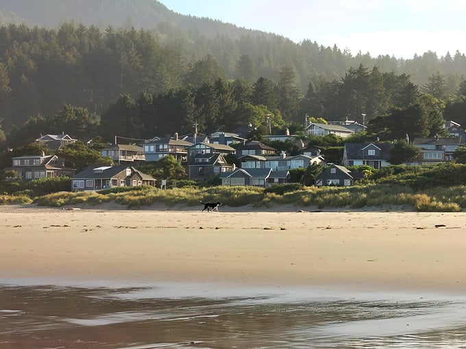 Manzanita: Where forest-covered hills dive dramatically into the Pacific, creating a beach town that feels like it was designed by Mother Nature herself.