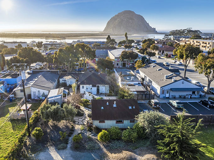 Morro Bay: From this vantage point, you can almost hear the sea lions barking their opinions about waterfront real estate prices.