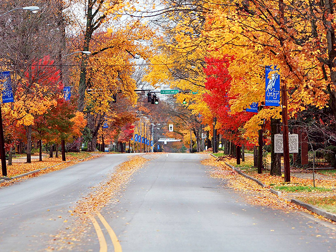 Fall's fiery fashion show on full display in Murfreesboro &ndash; Mother Nature's runway never looked so good!