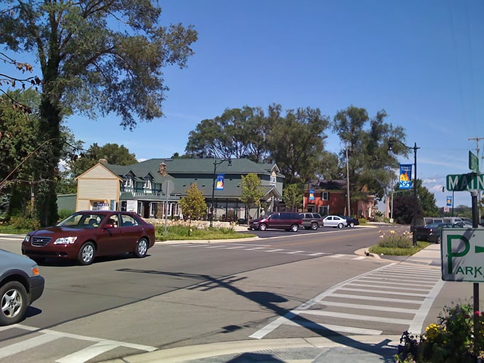 Downtown Saugatuck invites you to stroll its tree-lined streets where cars move at "vacation speed" and shops beckon with local treasures.