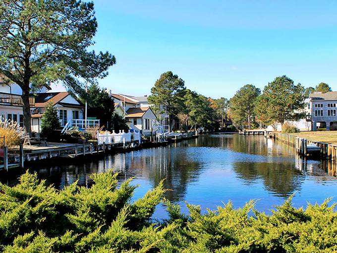 Canals weave through South Bethany like nature's neighborhood streets, connecting homes and hearts.