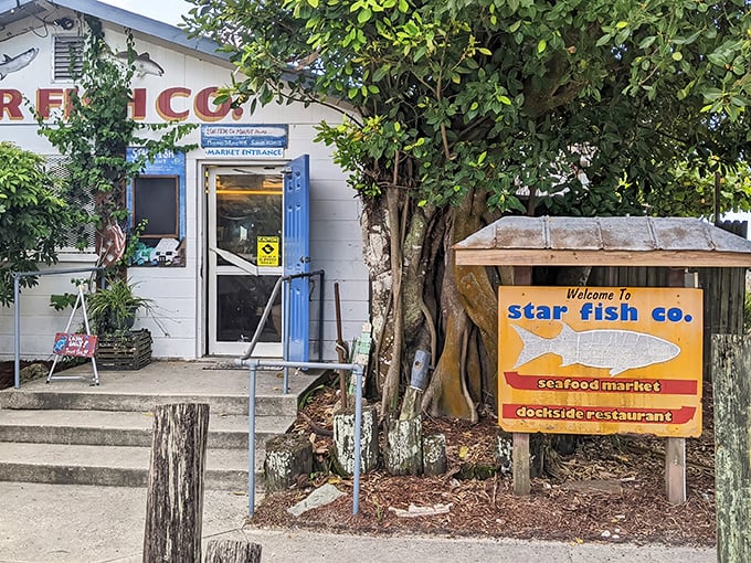 The blue door opens to seafood nirvana – where your meal was likely swimming this morning and your tablemates include pelicans.
