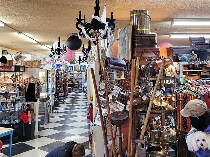 Vintage wonderland alert! This Portland gem stacks treasures floor-to-ceiling, creating a playground where your grandmother's memories meet your modern home.