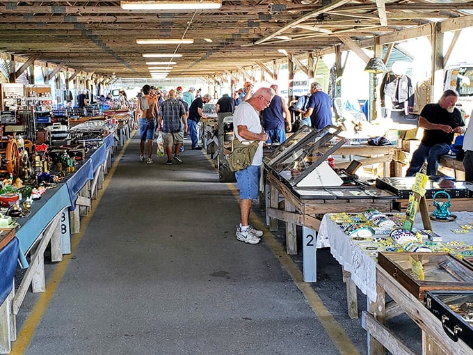 Treasure hunting paradise where one person's "finally getting rid of it" becomes another's "can't believe I found it!"