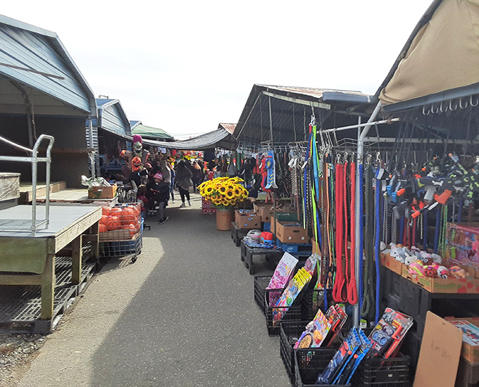 Vendors create a vibrant marketplace under The Barnyard's rustic shelter, where yesterday's treasures find tomorrow's homes.