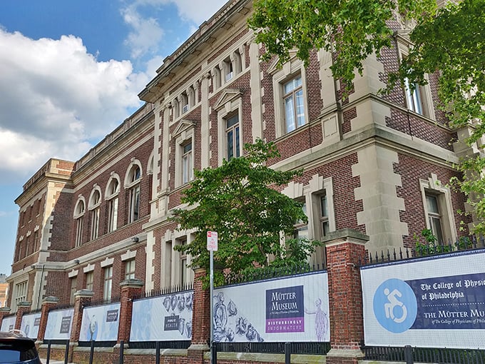 Inside these historic walls, medical mysteries and anatomical curiosities await. Not your average "inside look" at the human body!