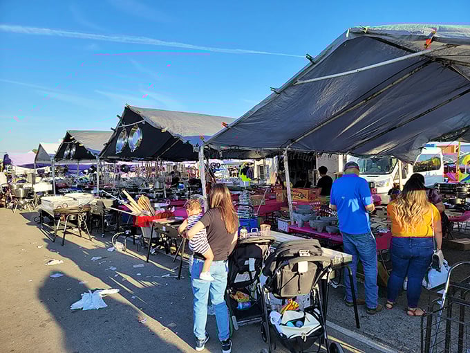 Red chairs and vintage lamps create a colorful landscape where one person's castoffs become another's prized possessions.