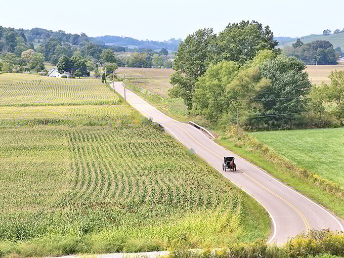 The original eco-friendly commute. Rolling farmland stretches to the horizon as a lone buggy travels a winding Ohio road.
