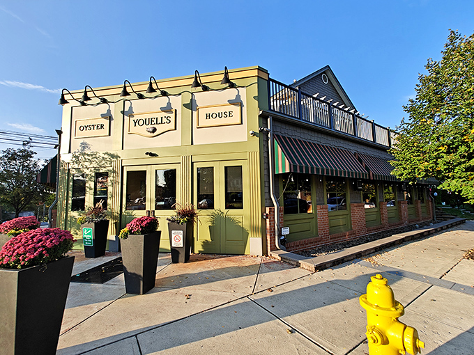 Morning light bathes Youell's in a glow that promises seafood epiphanies. The kind of place where calories don't count and diets go to die.
