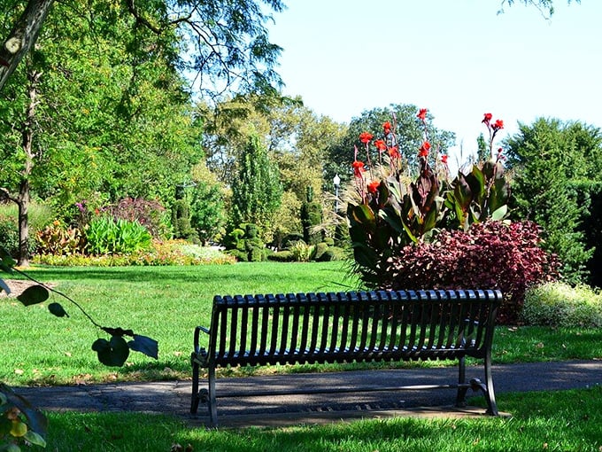 Not just any park bench&mdash;this one offers front-row seats to a living art gallery where the exhibits occasionally need haircuts.