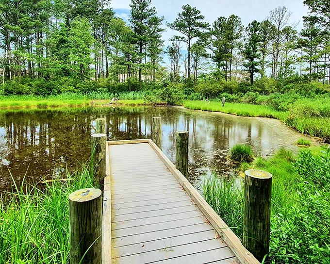 Nature doesn't just surround Bethany&mdash;it embraces it. This peaceful boardwalk extends into wetlands where time slows and herons have the right of way.