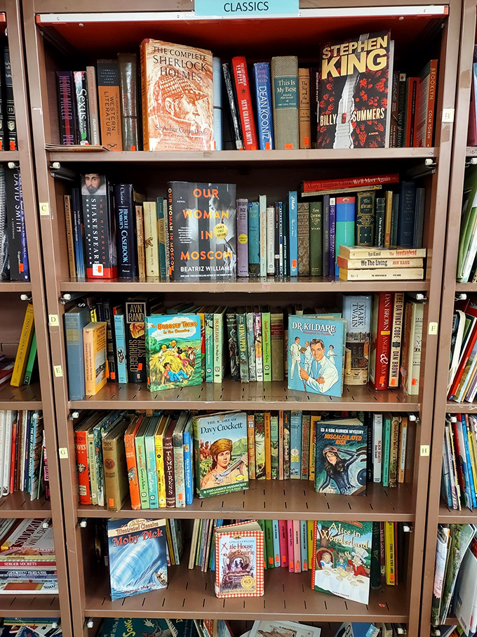 The classics section: where literary legends patiently wait for their next adventure. Spot the Stephen King nestled between Sherlock Holmes and vintage treasures.