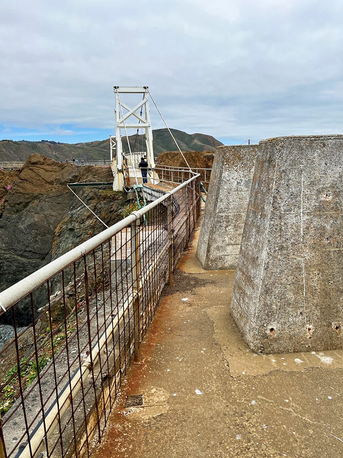 Not all suspension bridges lead to San Francisco. This nail-biter of a walkway makes you earn your lighthouse views with every wobbly step.