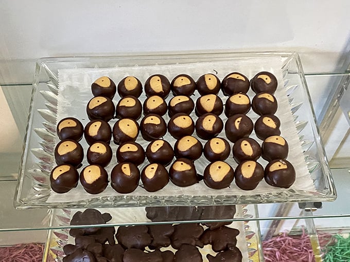 The stars of the show: perfect Buckeyes with that signature peanut butter "eye" peeking through rich chocolate coats. Ohio pride in edible form!