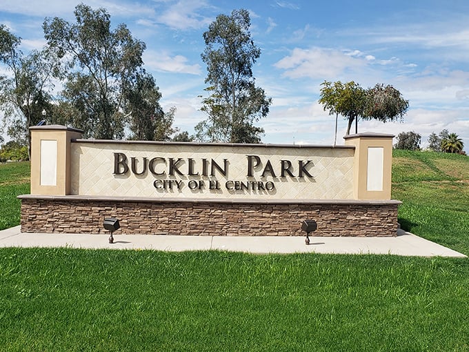 Bucklin Park offers a surprising splash of green in the desert landscape, where palm trees stand sentinel over cool, inviting grass.