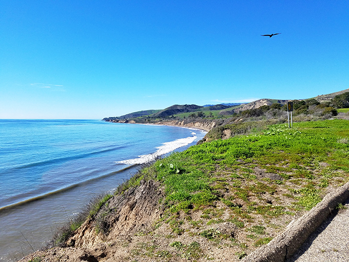 On clear days, the coastline stretches so far you'd swear you could see tomorrow's weather coming around the bend.